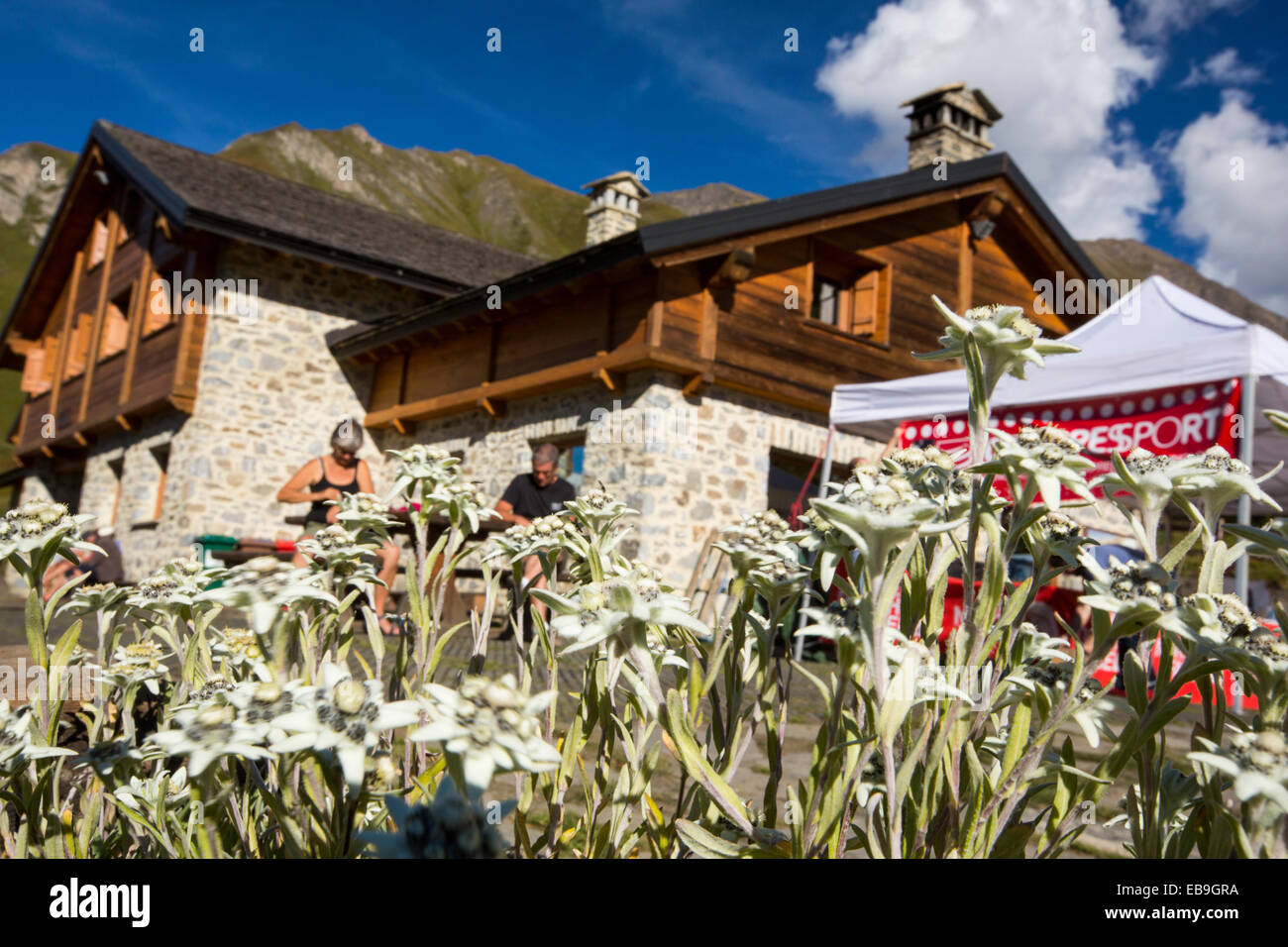 Bonatti hi-res stock photography and images - Alamy