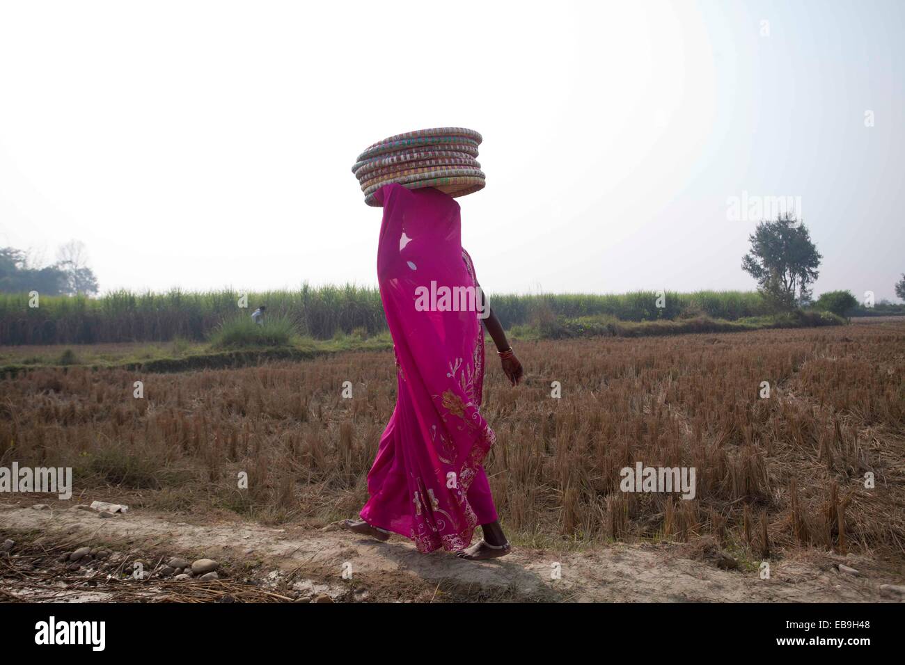 Festival gadhimai hi-res stock photography and images - Alamy