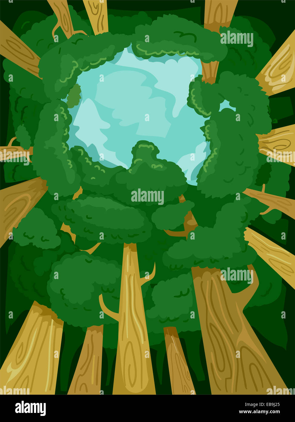 Illustration Featuring a Canopy Formed by Trees in a Forest Stock Photo ...