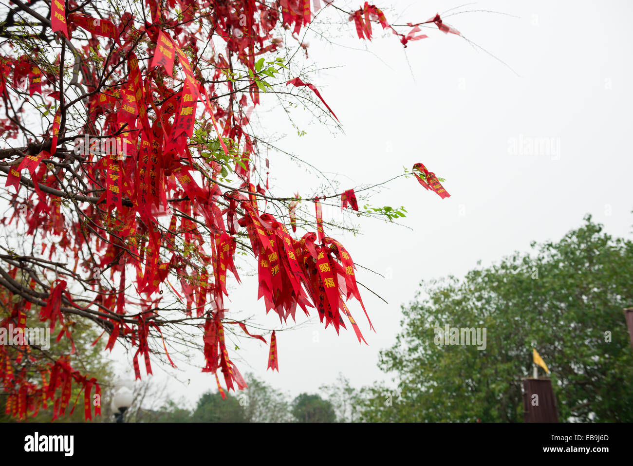 lots of wishing ribbon hanging on blessing tree Stock Photo - Alamy