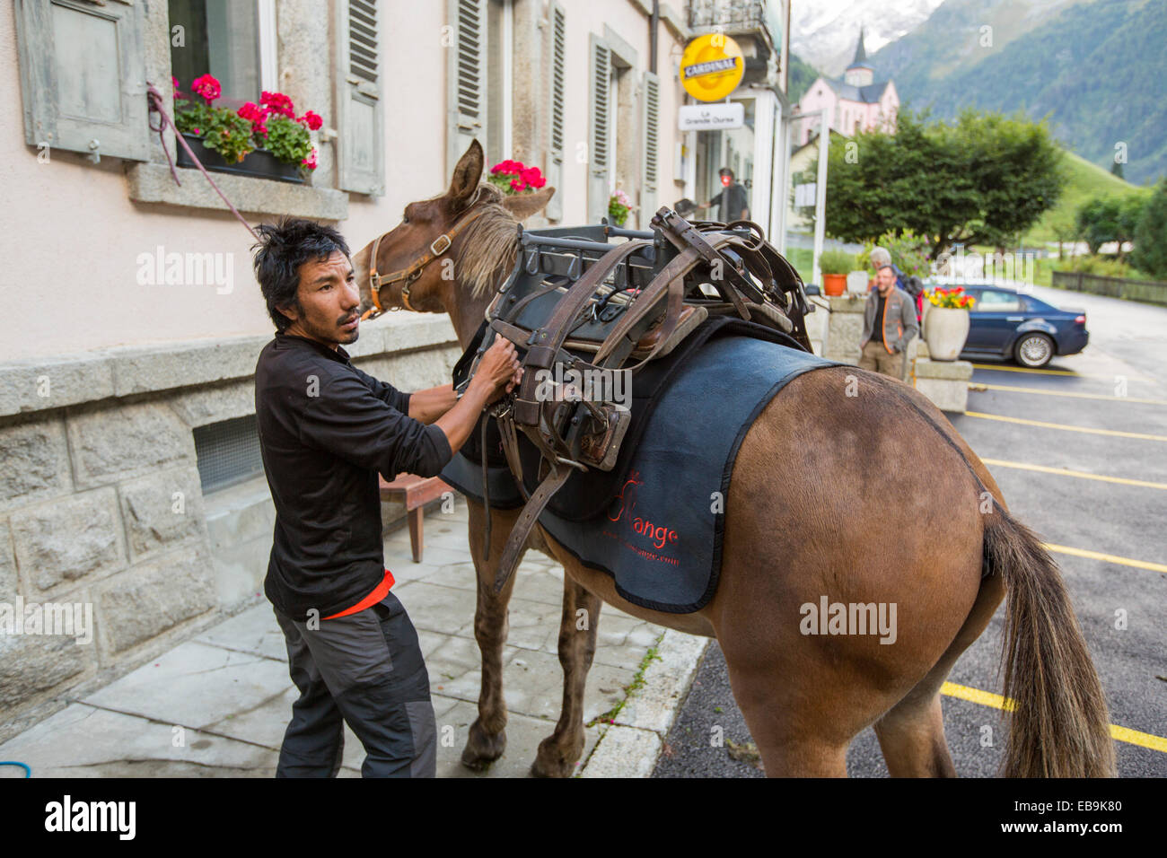 Loaded mule hi-res stock photography and images - Alamy