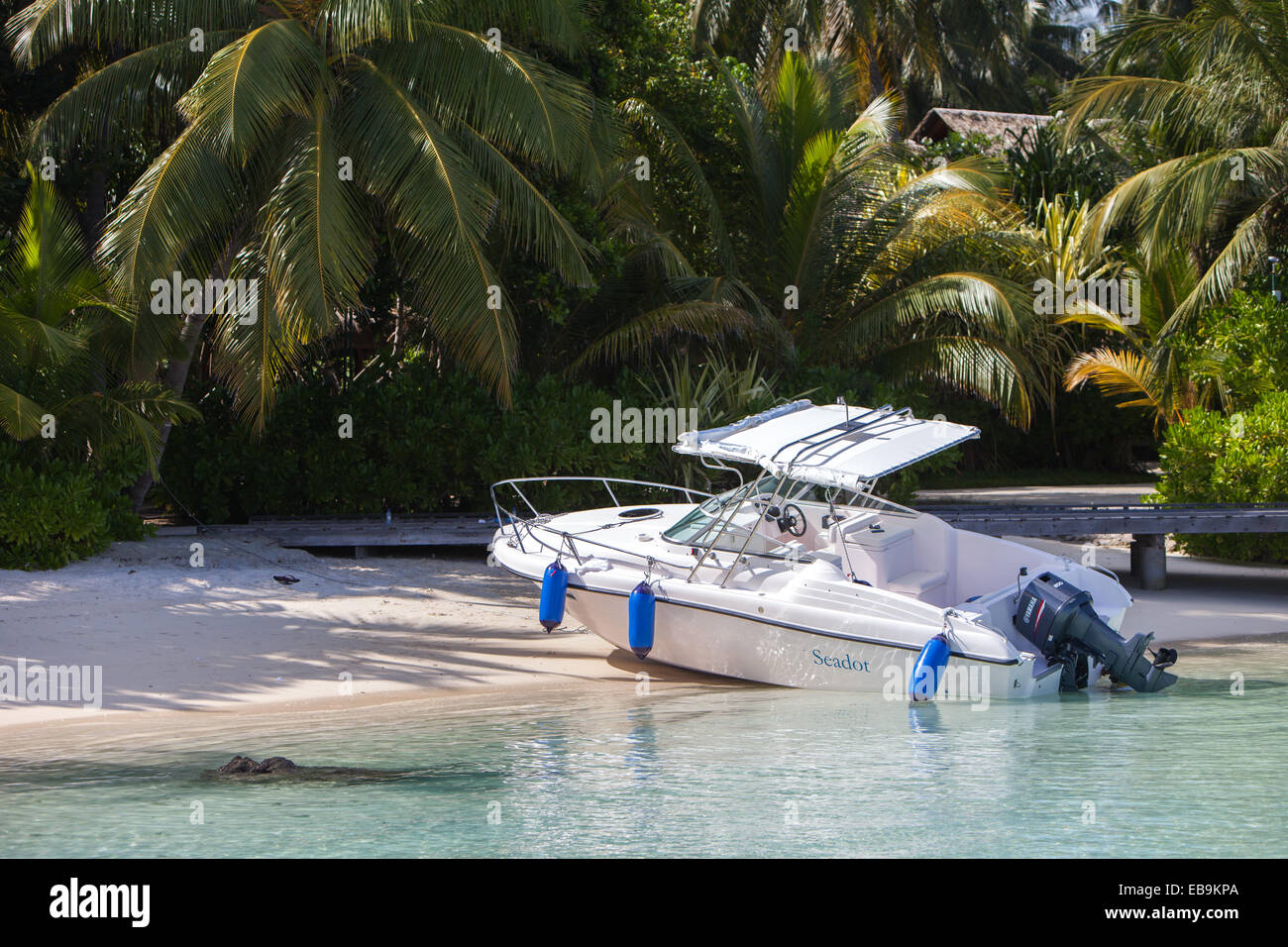 A speedboat beached on a tropical beach Stock Photo - Alamy