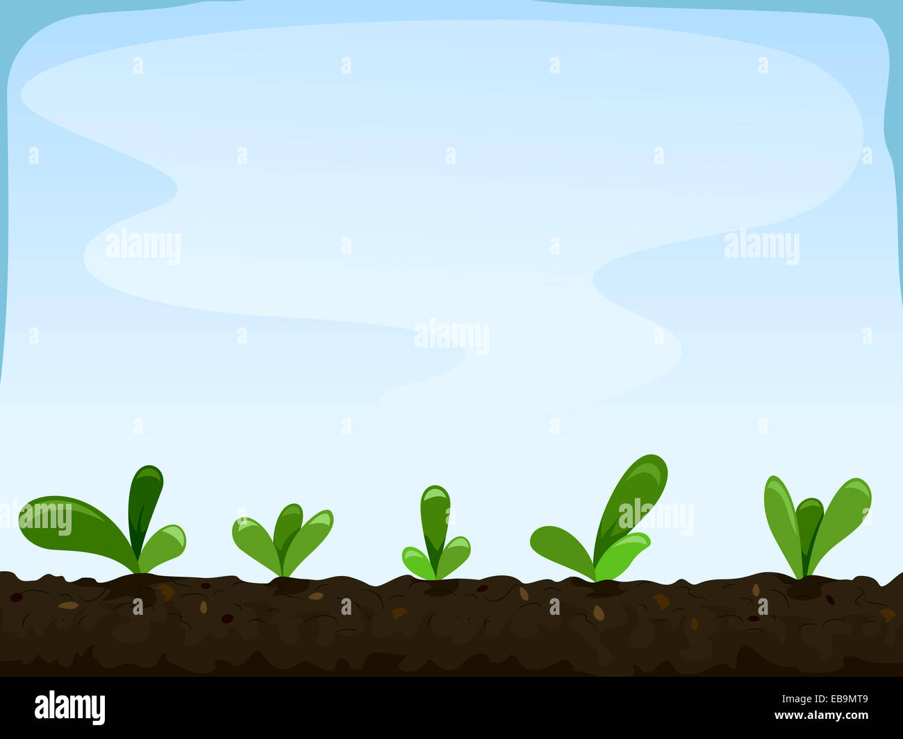 Illustration Featuring Seedlings Planted Inches Apart Stock Photo - Alamy