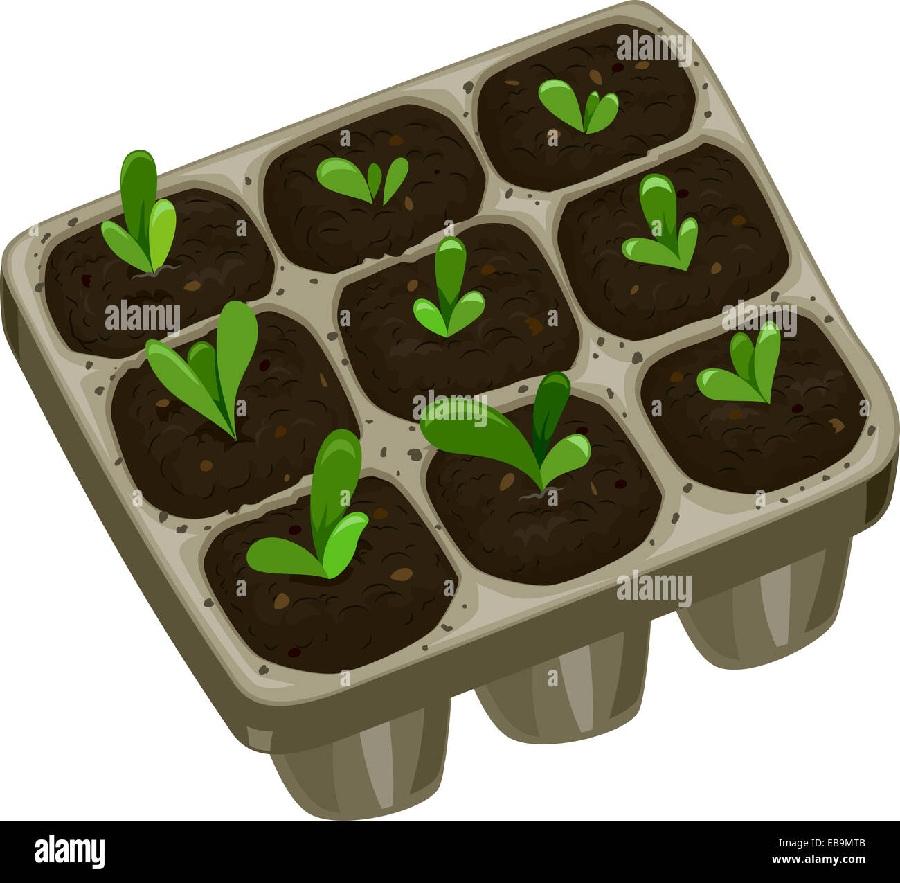 Illustration Featuring a Seedling Tray Filled with Saplings Stock Photo ...