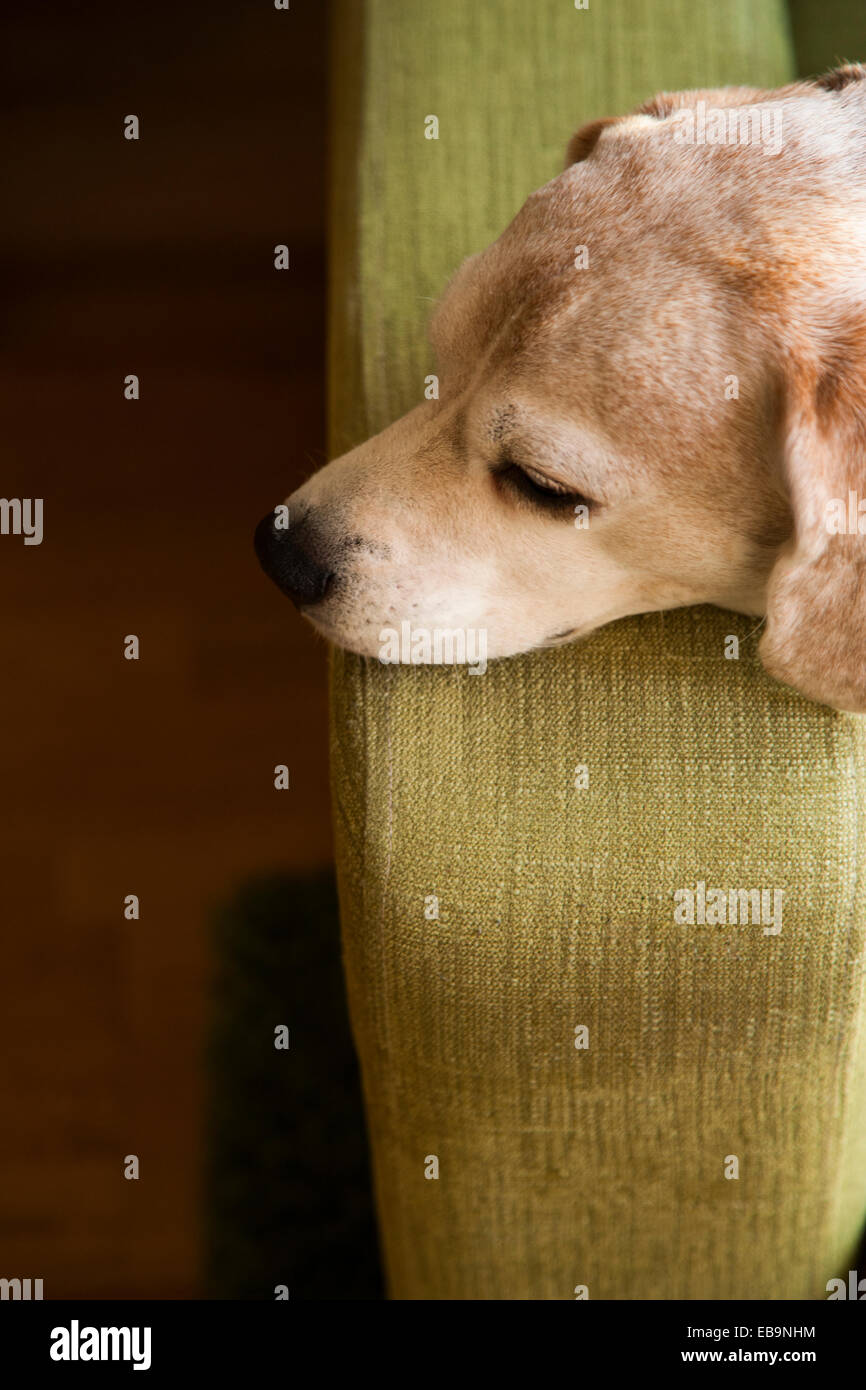 Arm rest hi-res stock photography and images - Alamy