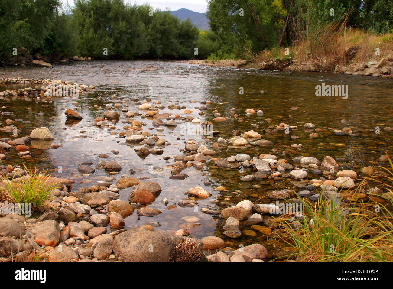 Pebbled river through wilderness Stock Photo - Alamy