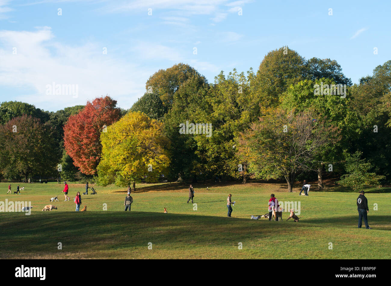 Fall foliage prospect park hi-res stock photography and images - Alamy