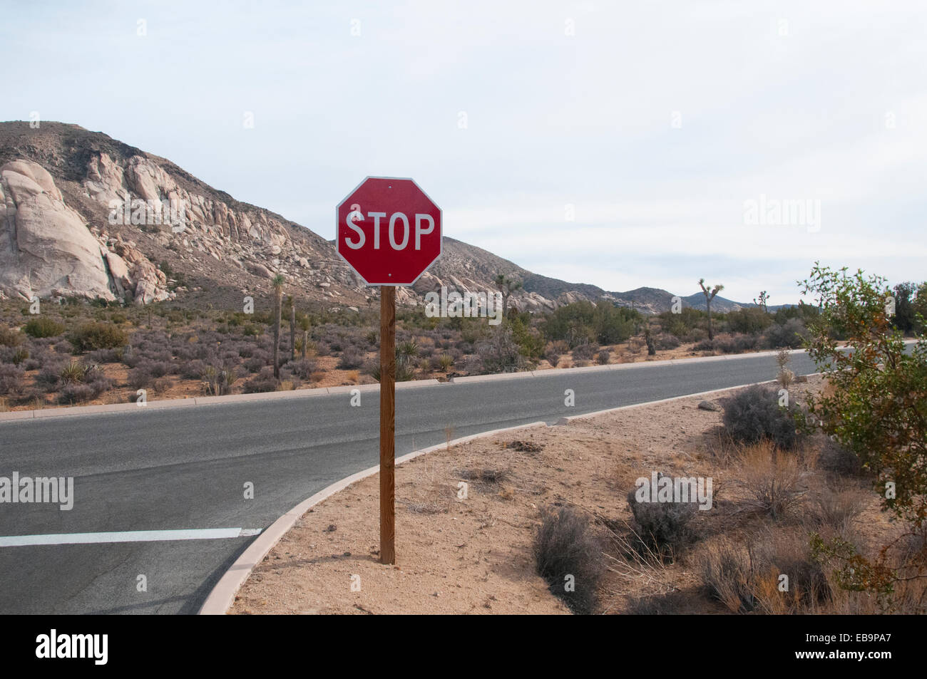 Road Sign Joshua Tree National Park High Resolution Stock Photography ...