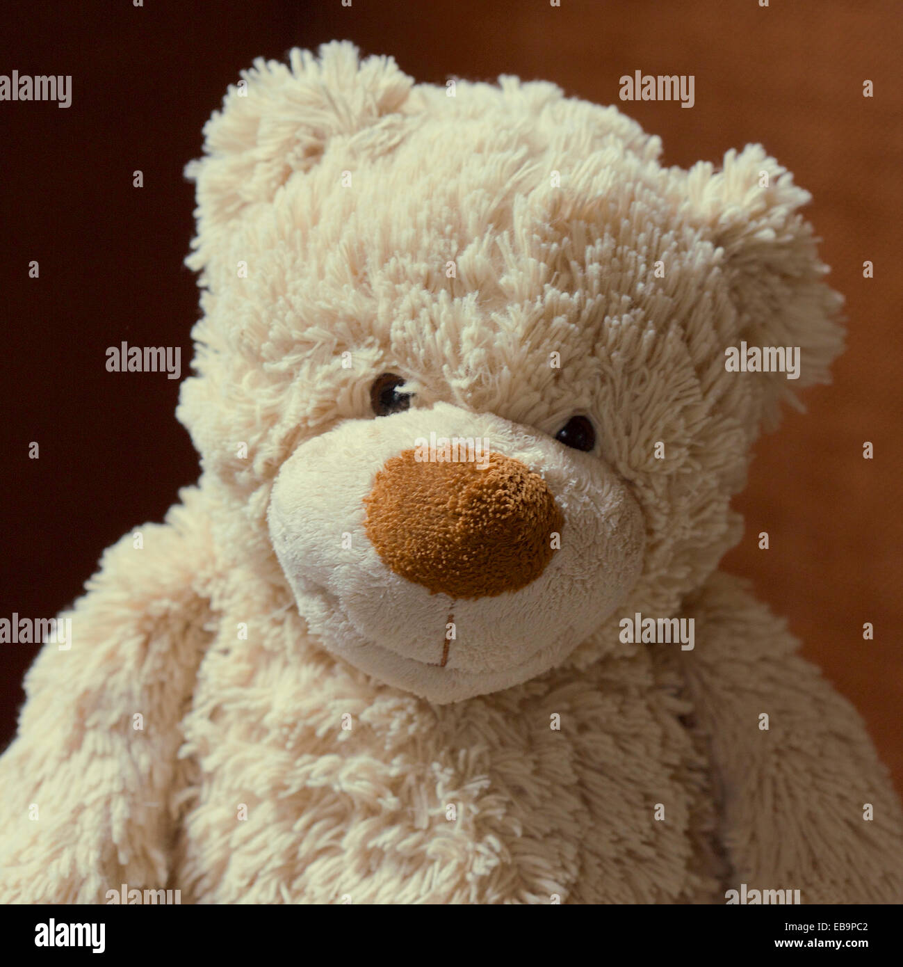 Teddy bear with one eye hi-res stock photography and images - Alamy