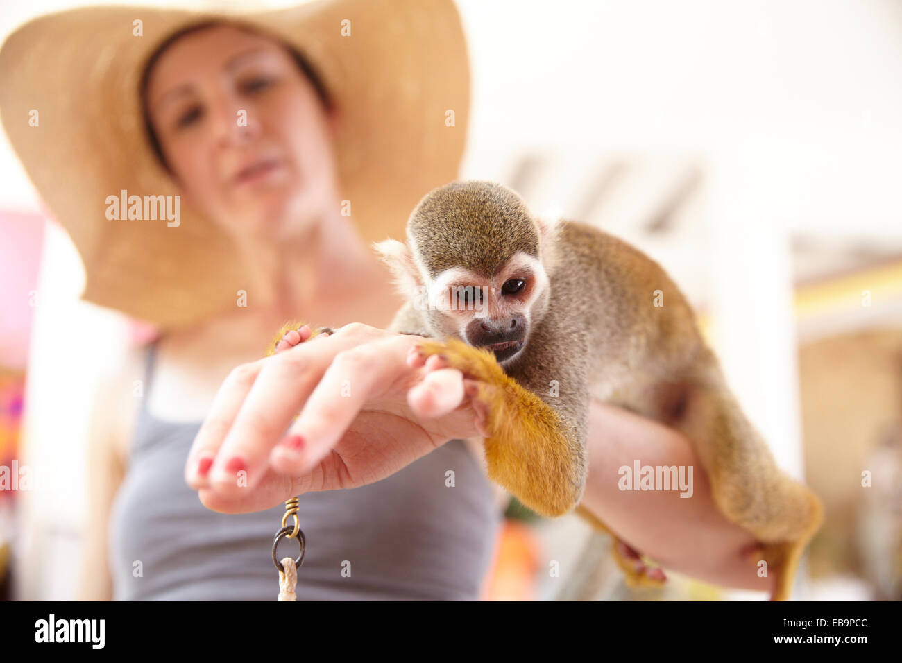 Monkey arm hi-res stock photography and images - Alamy