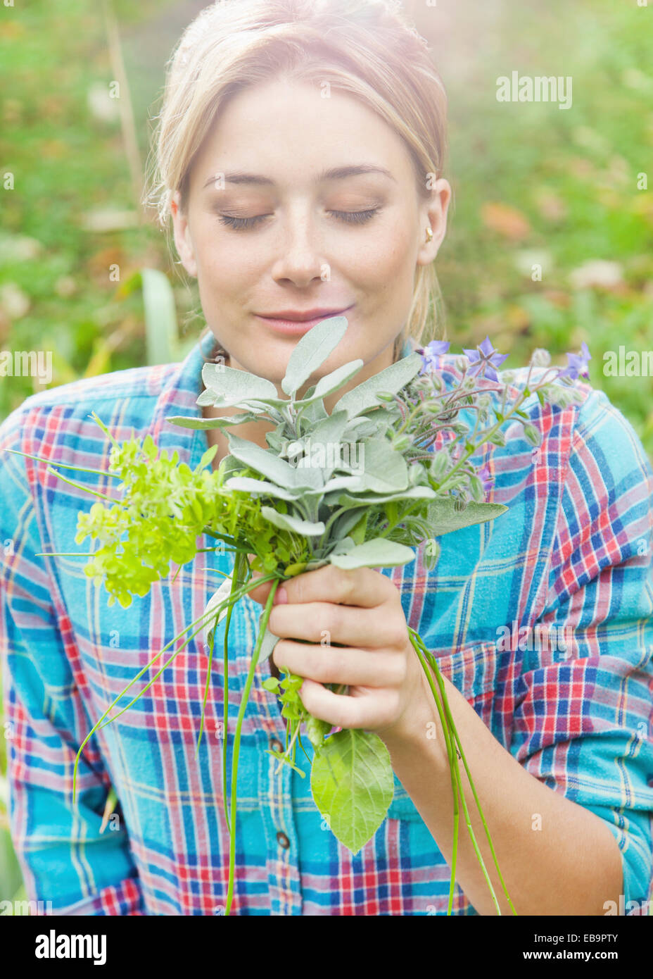 Herbs garden person smelling hi-res stock photography and images - Alamy