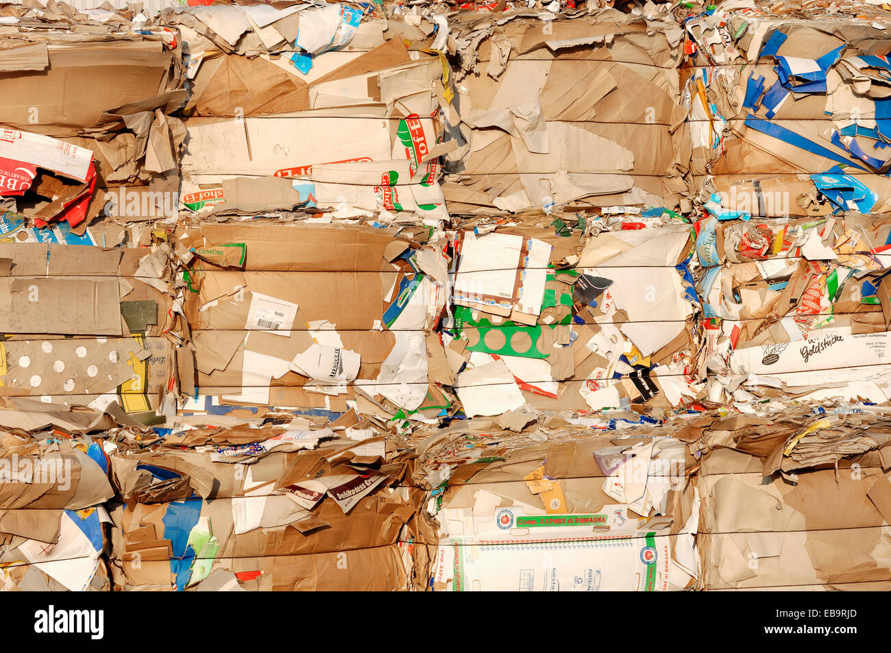 Waste paper recycling lower hi-res stock photography and images - Alamy