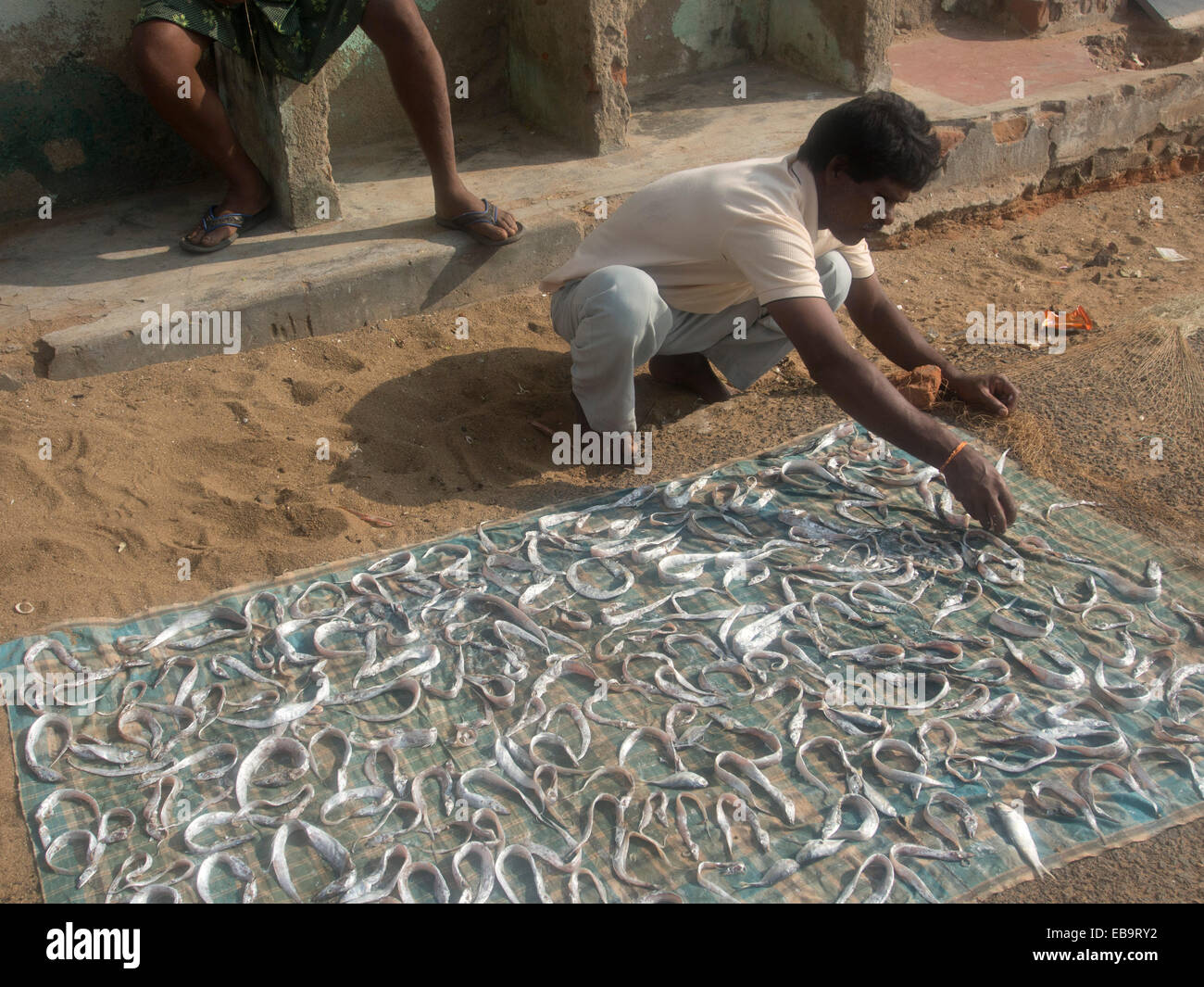 Fishermen selling fish on a beach in Tamil Nadu India Stock Photo - Alamy