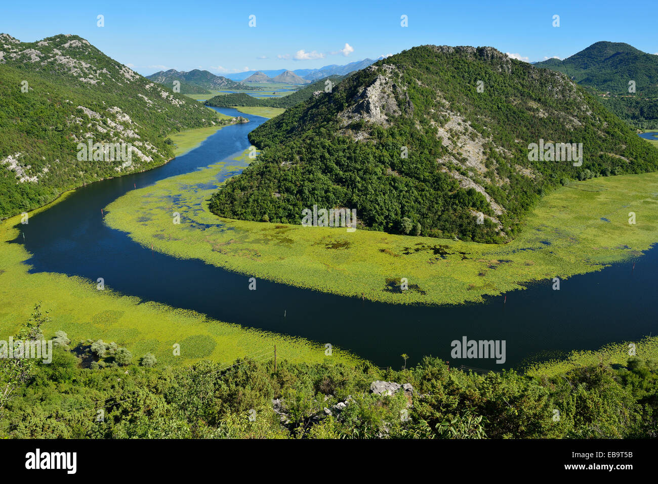 Big bend of river Rijeka Crnojevica, Lake Skadar National Park, Scutari, Crna Gora, Montenegro ...