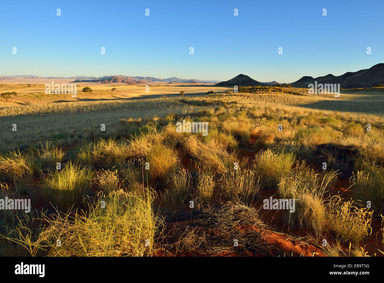 View over Namib Rand Nature Reserve, Namib Desert, Namibia Stock Photo ...