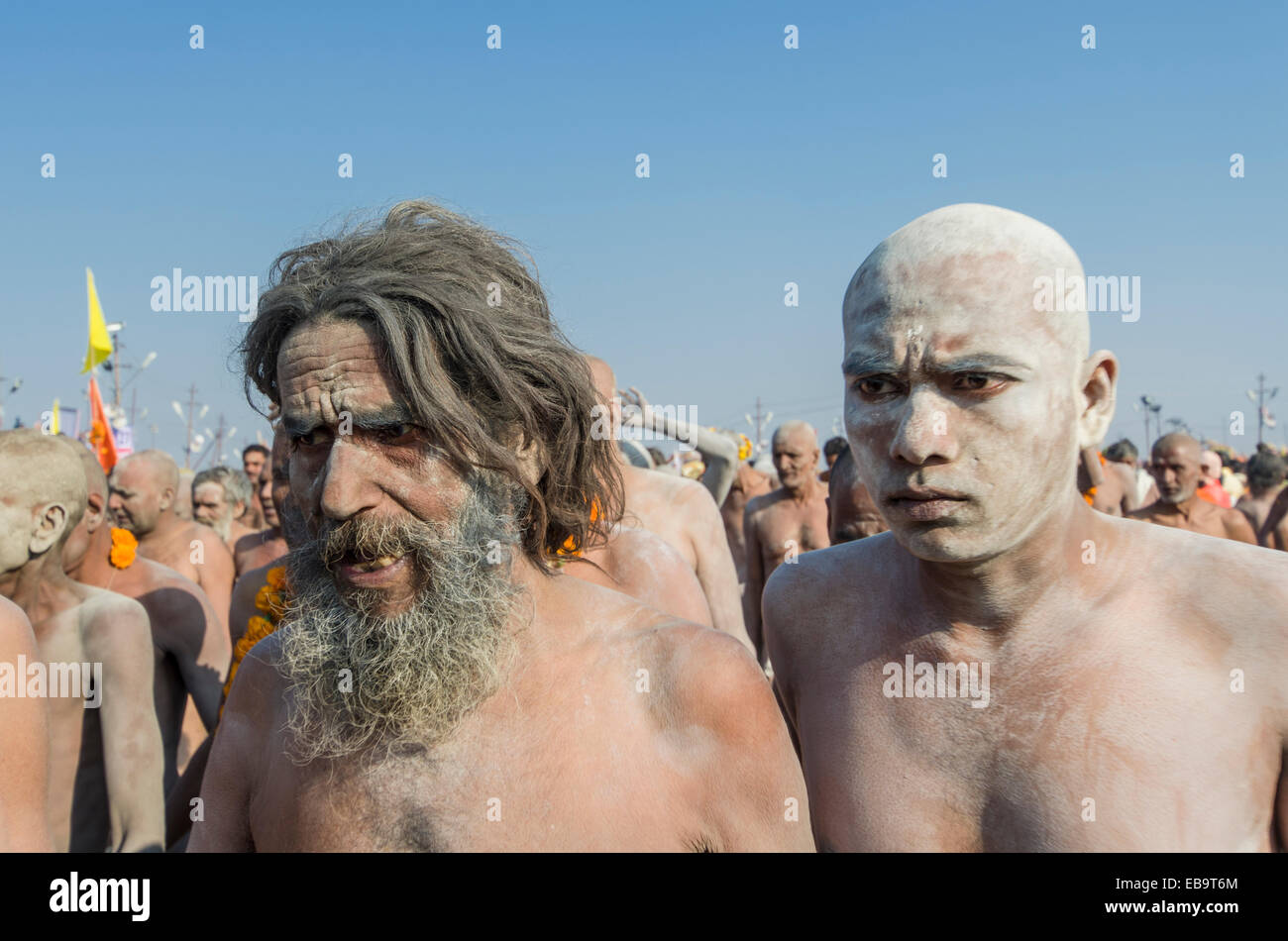 Crowds of naked Naga sadhus, holy men, participating in the procession ...