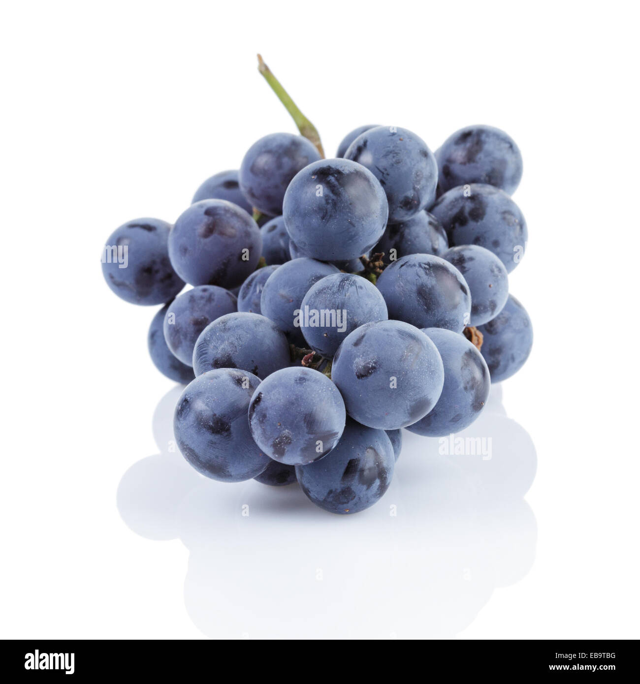 ripe isabella grapes isolated on white with reflection Stock Photo - Alamy