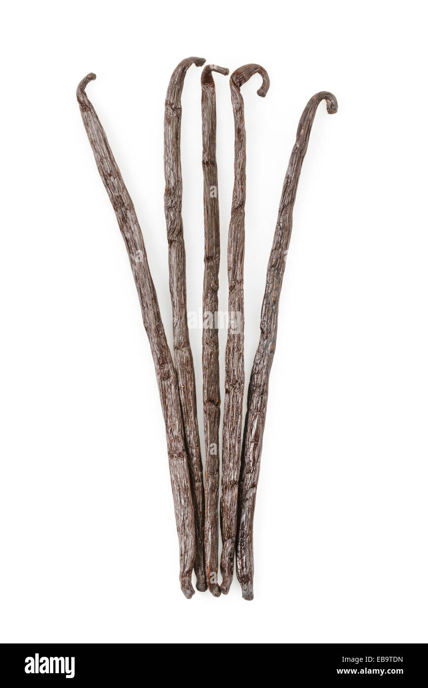 fresh bourbon vanilla pods, isolated on white background Stock Photo ...