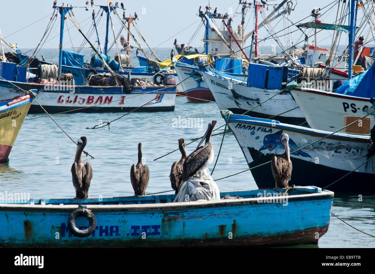 Paracas National Reserve. Paracas fishing port Stock Photo - Alamy