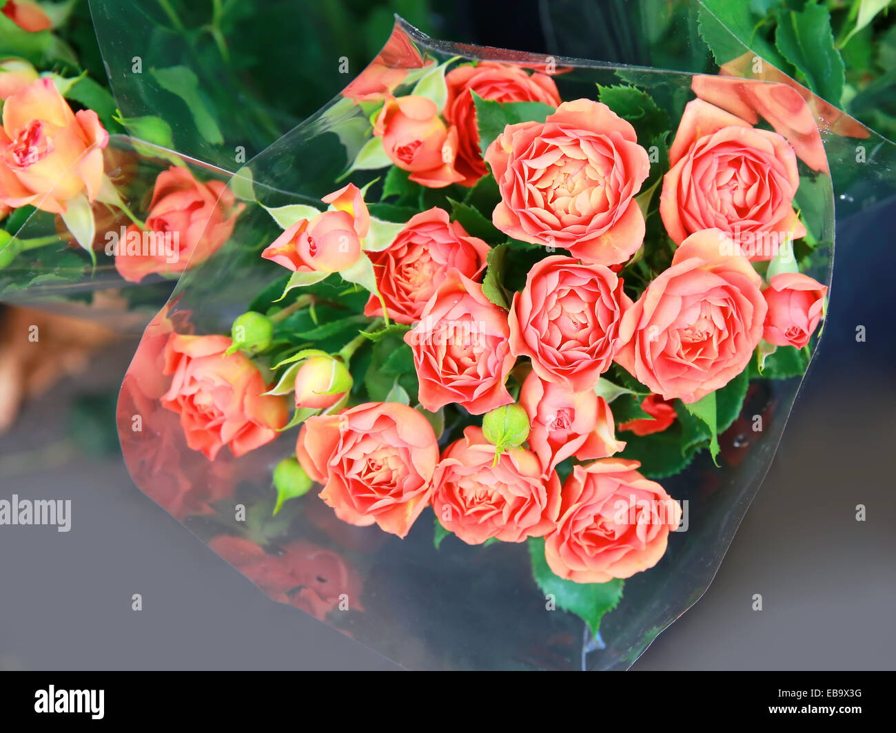 Roses in the shop Stock Photo - Alamy
