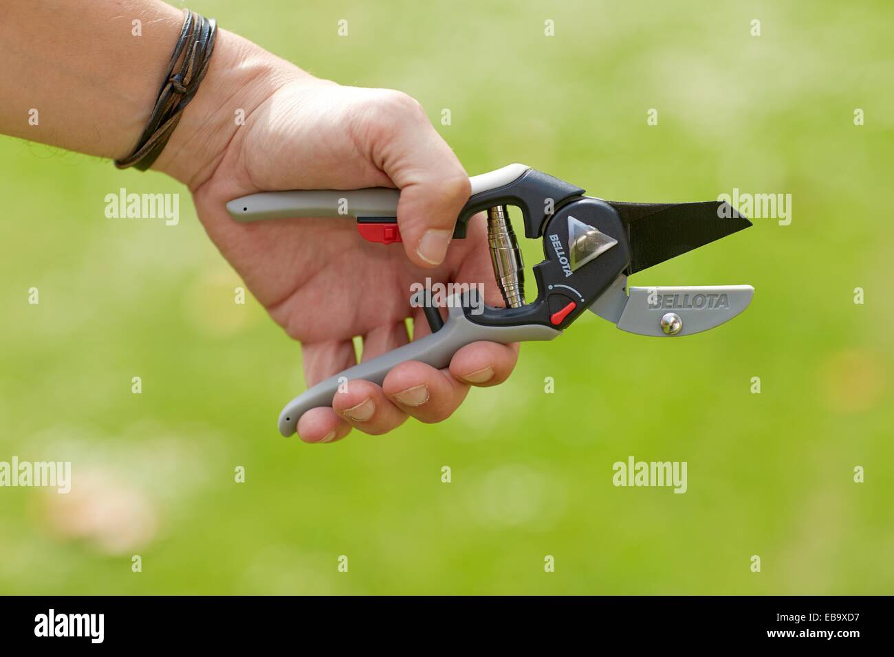Hand showing use of secateurs hi-res stock photography and images - Alamy