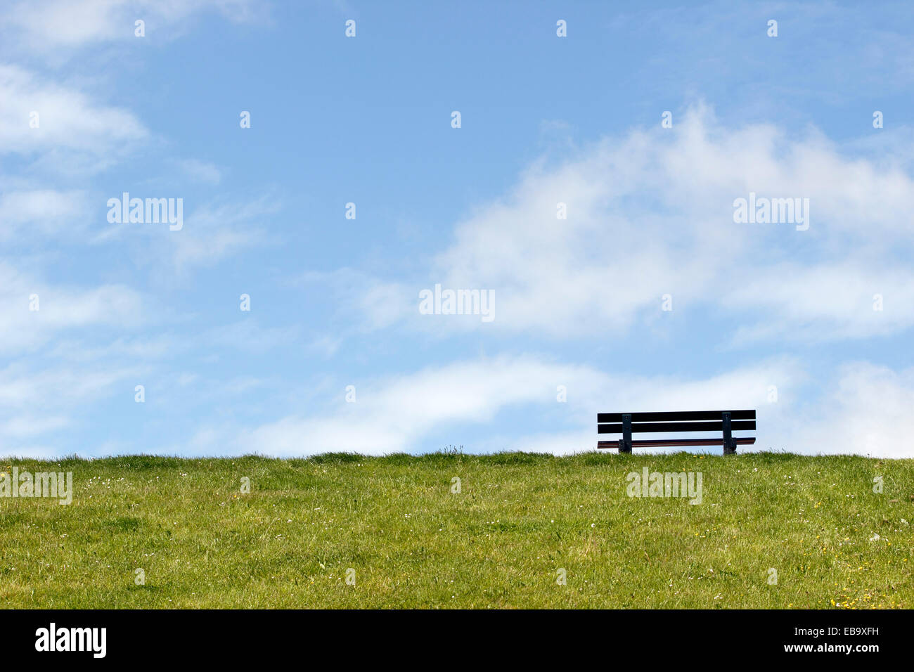 Bench on grass, Walcheren, Zeeland province, The Netherlands Stock ...
