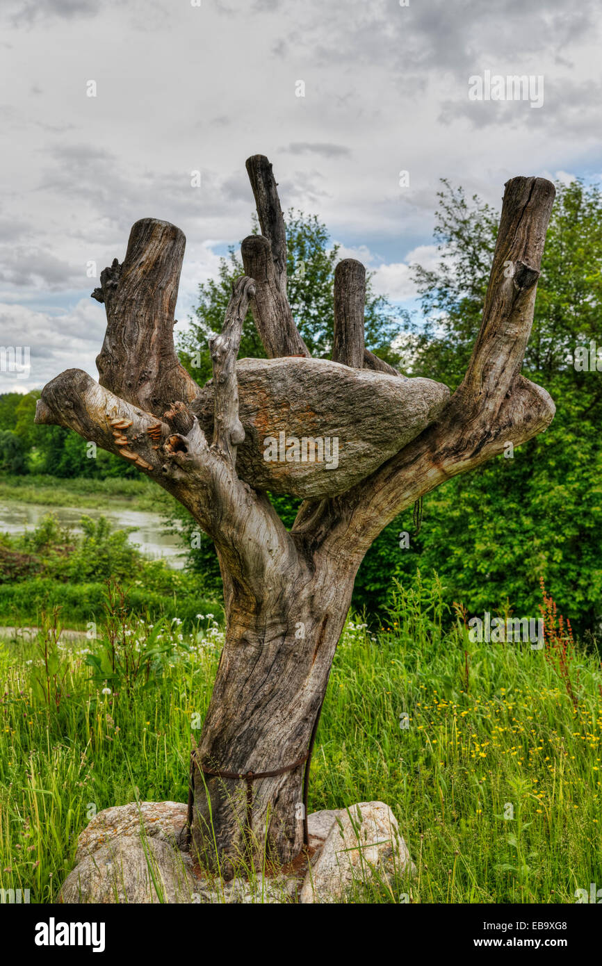 Land Art Trees