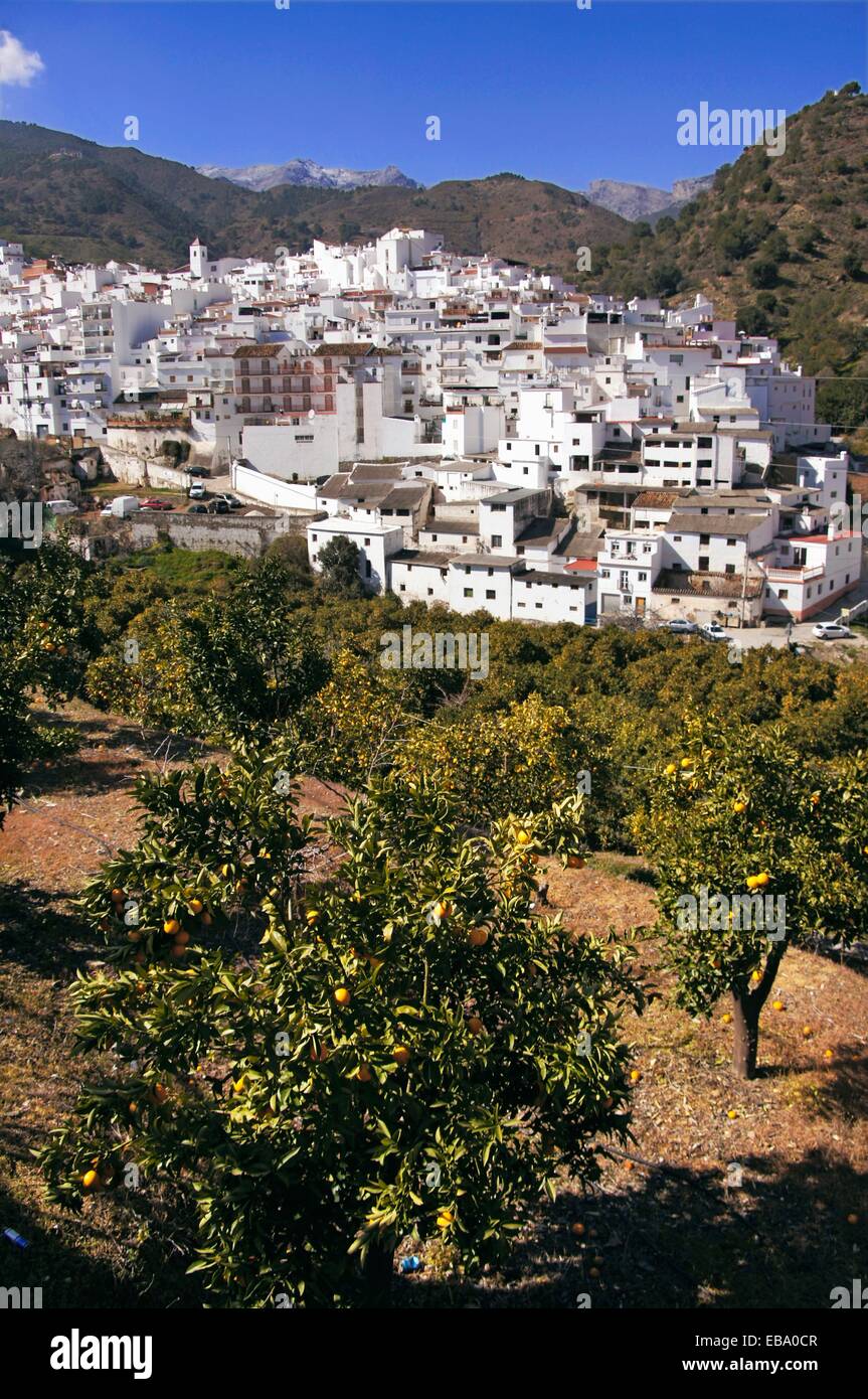 Tolox hi-res stock photography and images - Alamy