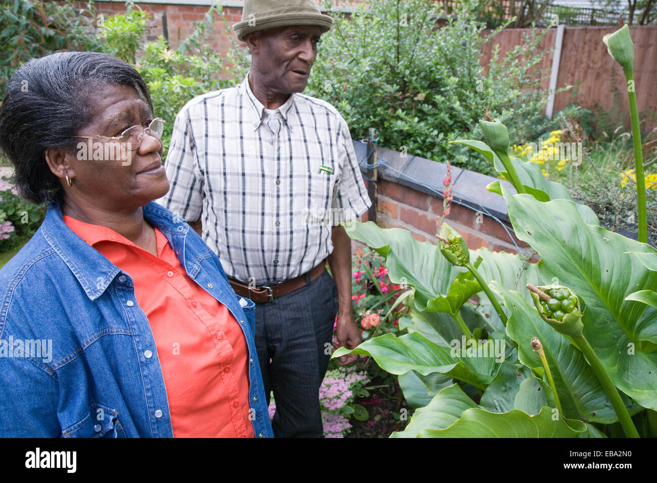 Old black man gardening hi-res stock photography and images - Alamy