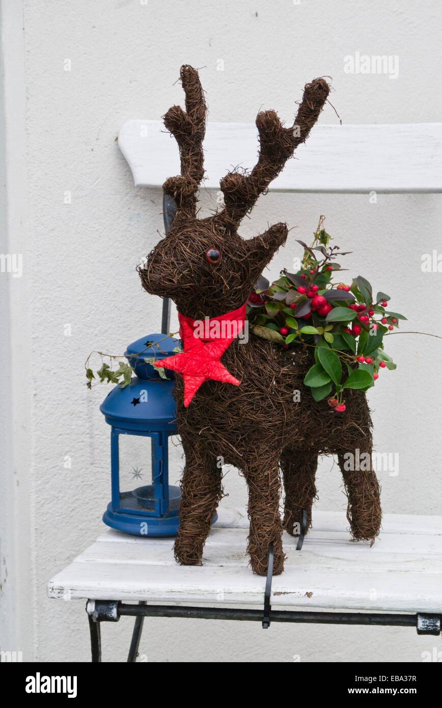 Checkerberry (Gaultheria procumbens) with Christmas decoration Stock ...