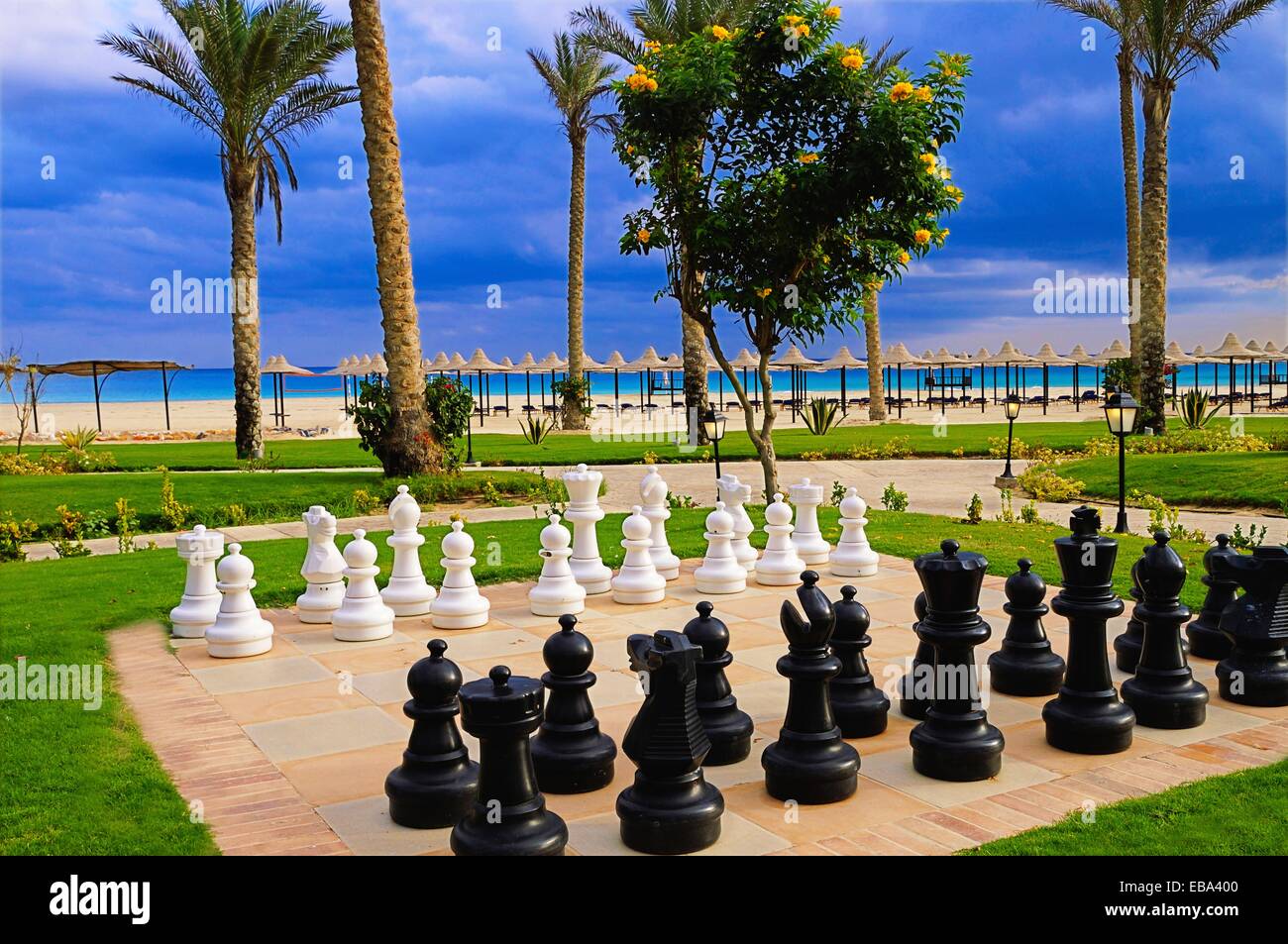 Dora palm hi-res stock photography and images - Alamy