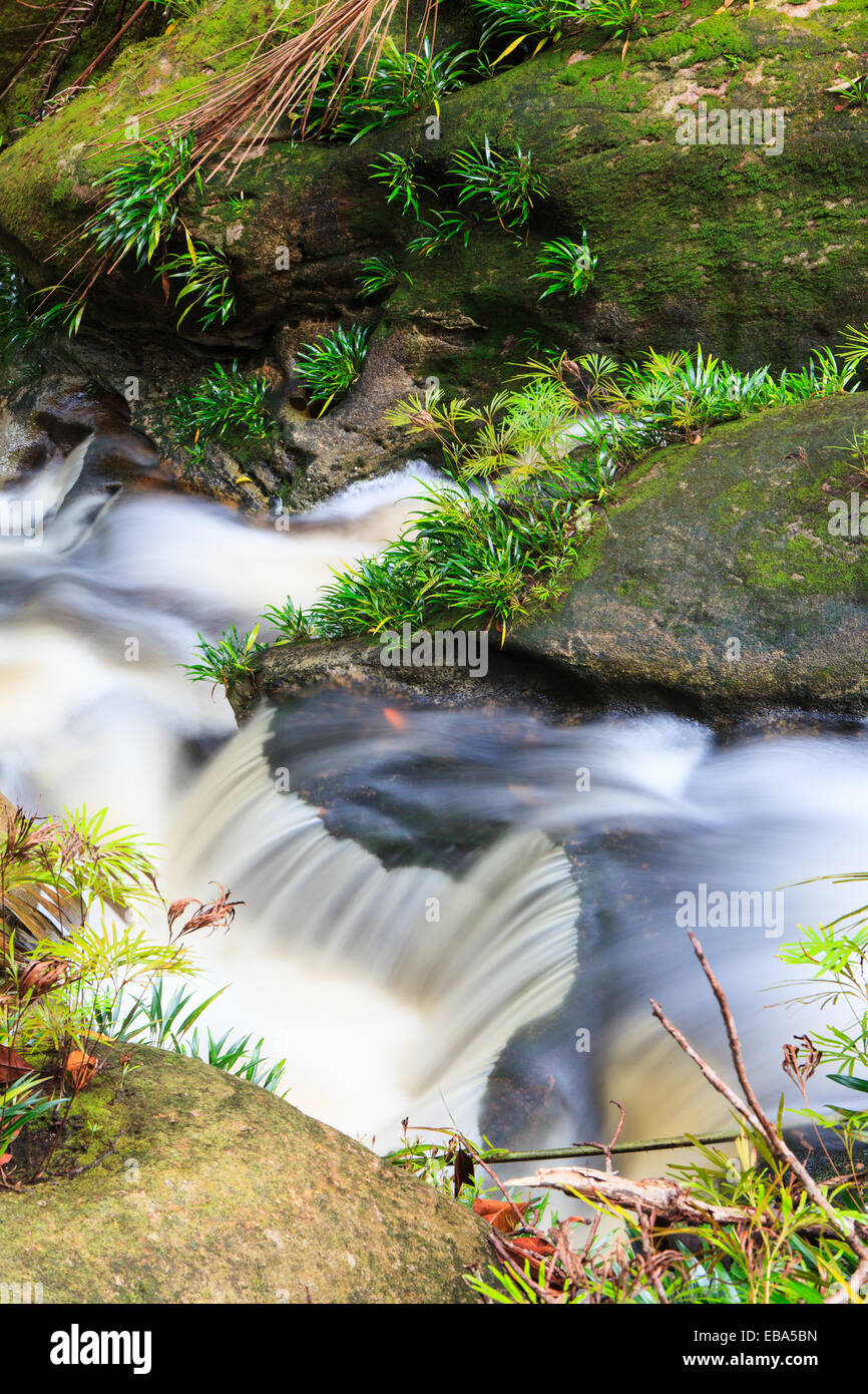 Small waterfall at the jungle of bako national park in malaysia borneo ...