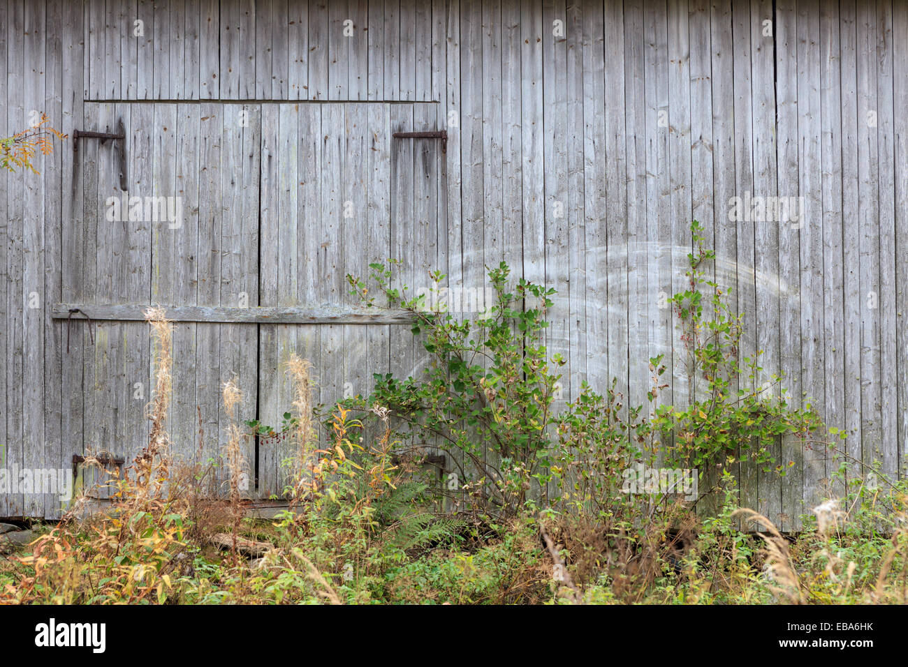 Old grey barn wall and door Stock Photo - Alamy