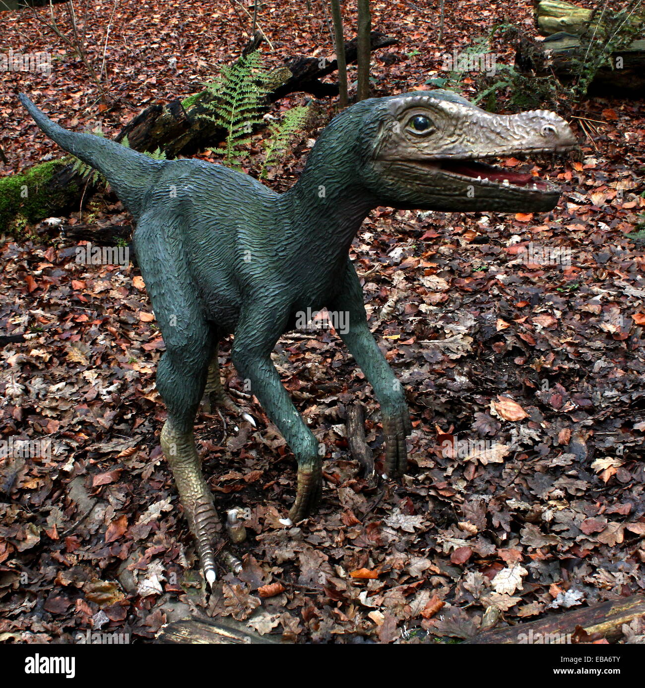 Velociraptor hi-res stock photography and images - Alamy