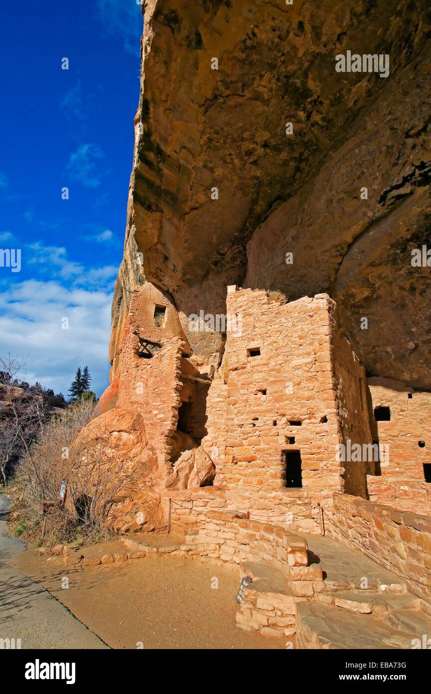 Spruce Tree House ruins at Mesa Verde National Park Colorado USA Stock ...