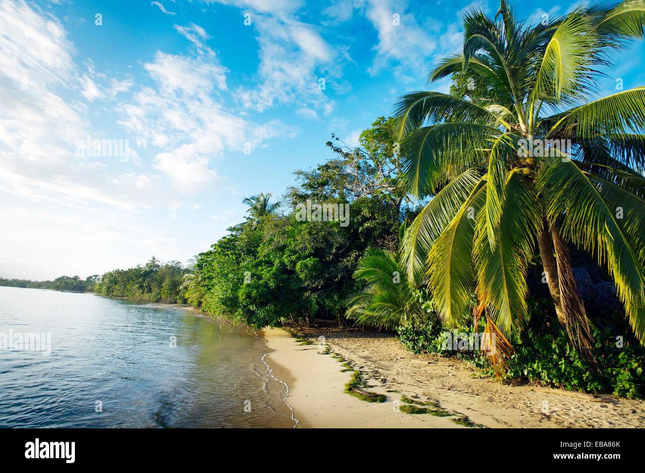 Isla bastimentos national marine park hi-res stock photography and ...