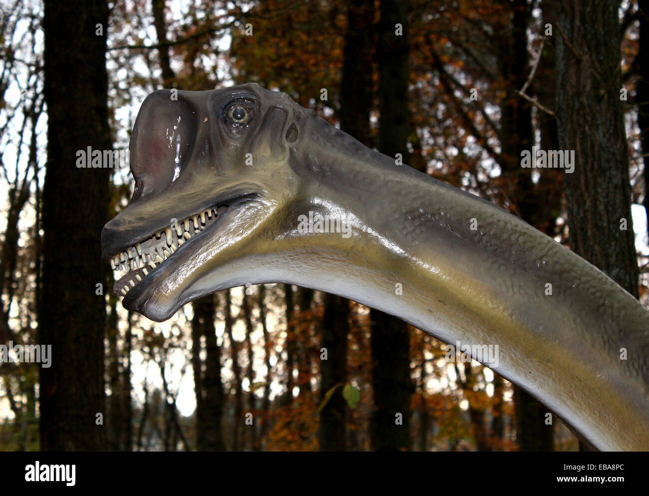 Basal macronarian sauropod hi-res stock photography and images - Alamy