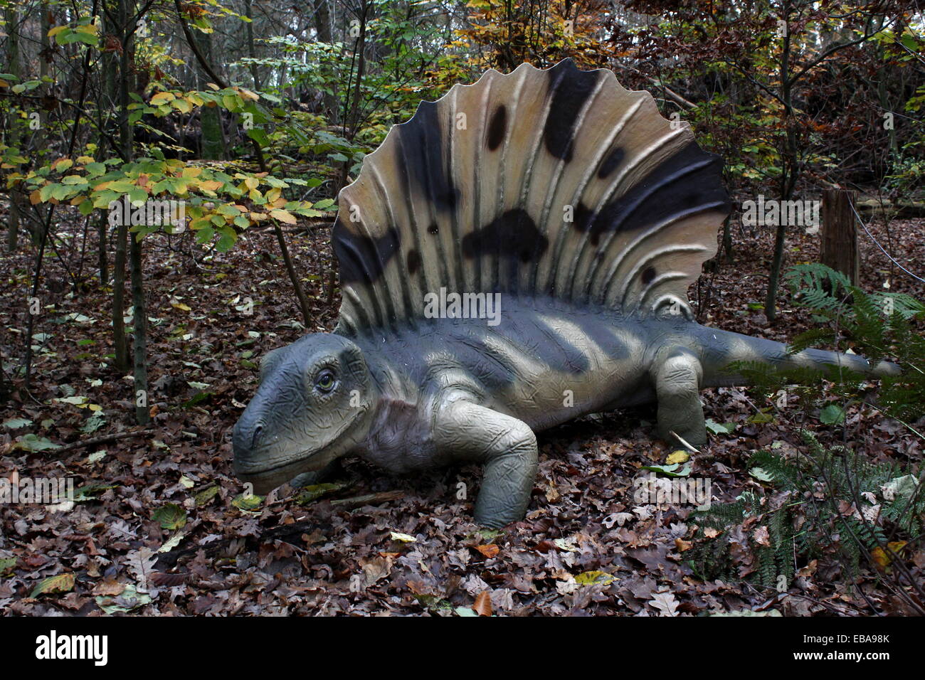 Edaphosaurus proto-dinosaur (Devonian / Carboniferous) 30+ species of ...