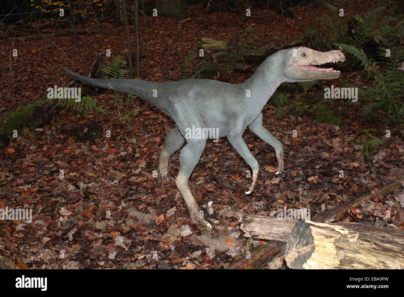 Velociraptor dinosaur hi-res stock photography and images - Alamy