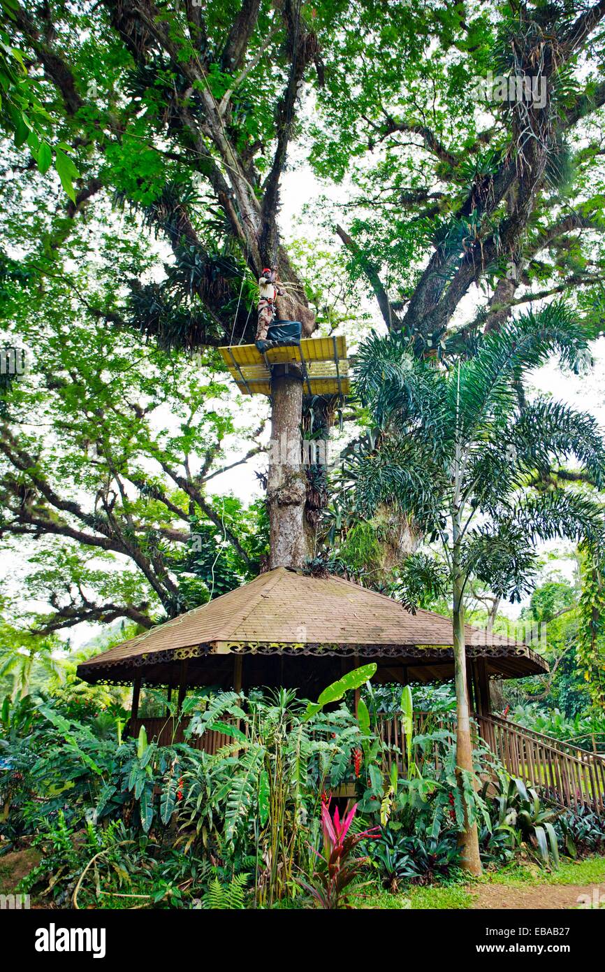 Ys falls, jamaica hi-res stock photography and images - Alamy