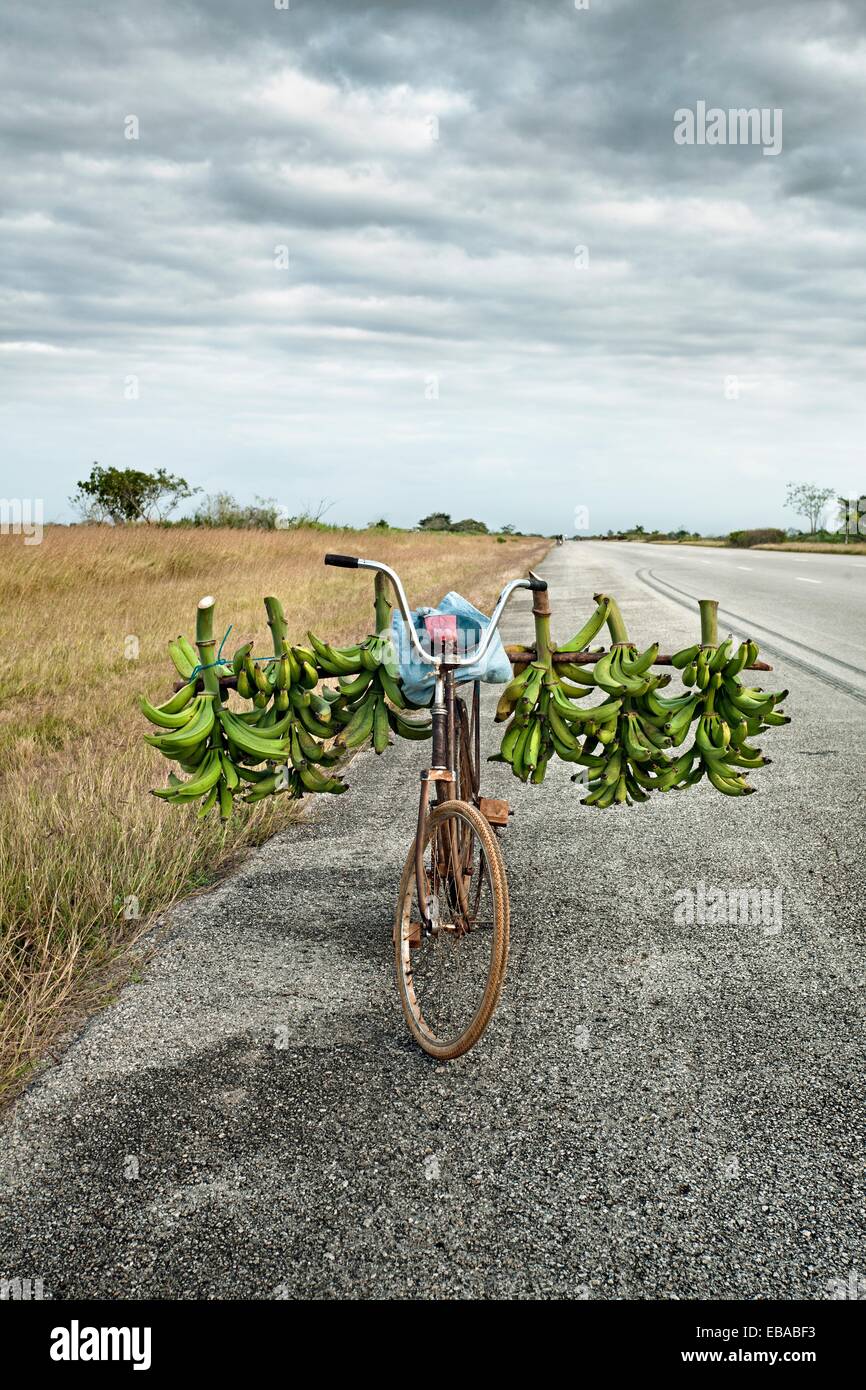 Farmer, The main highway in Cuba, Carretera Nacional, Cuba Stock Photo ...