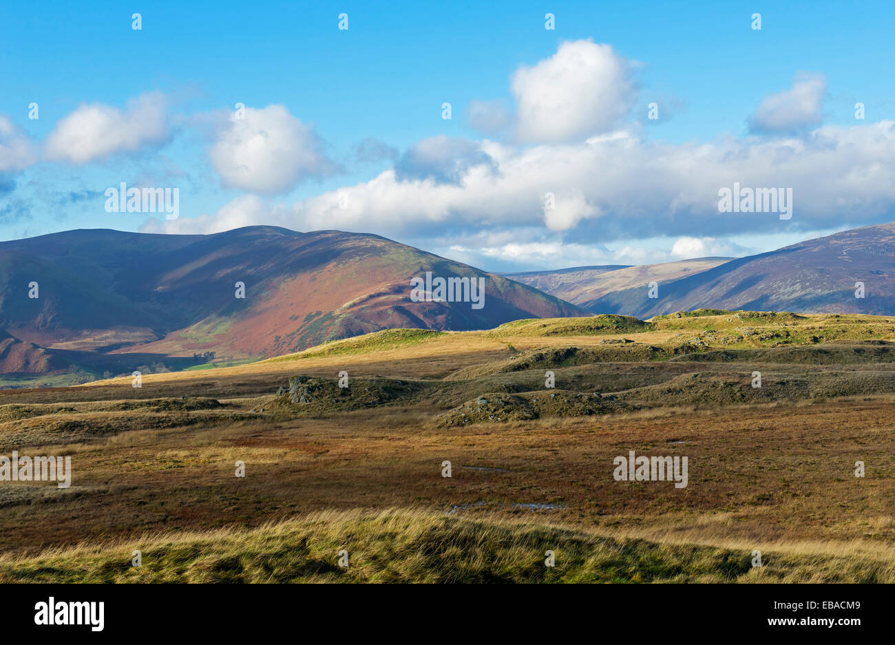 Eycott hill reserve hi-res stock photography and images - Alamy