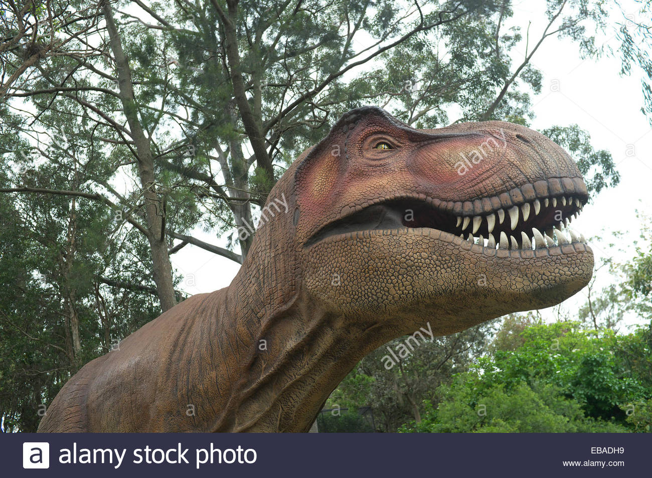 Scary T Rex High Resolution Stock Photography and Images - Alamy