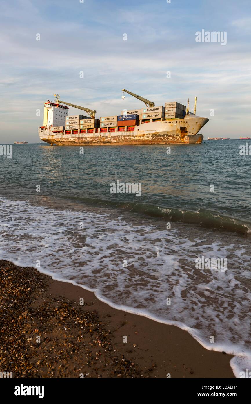 Extraneus hi-res stock photography and images - Alamy