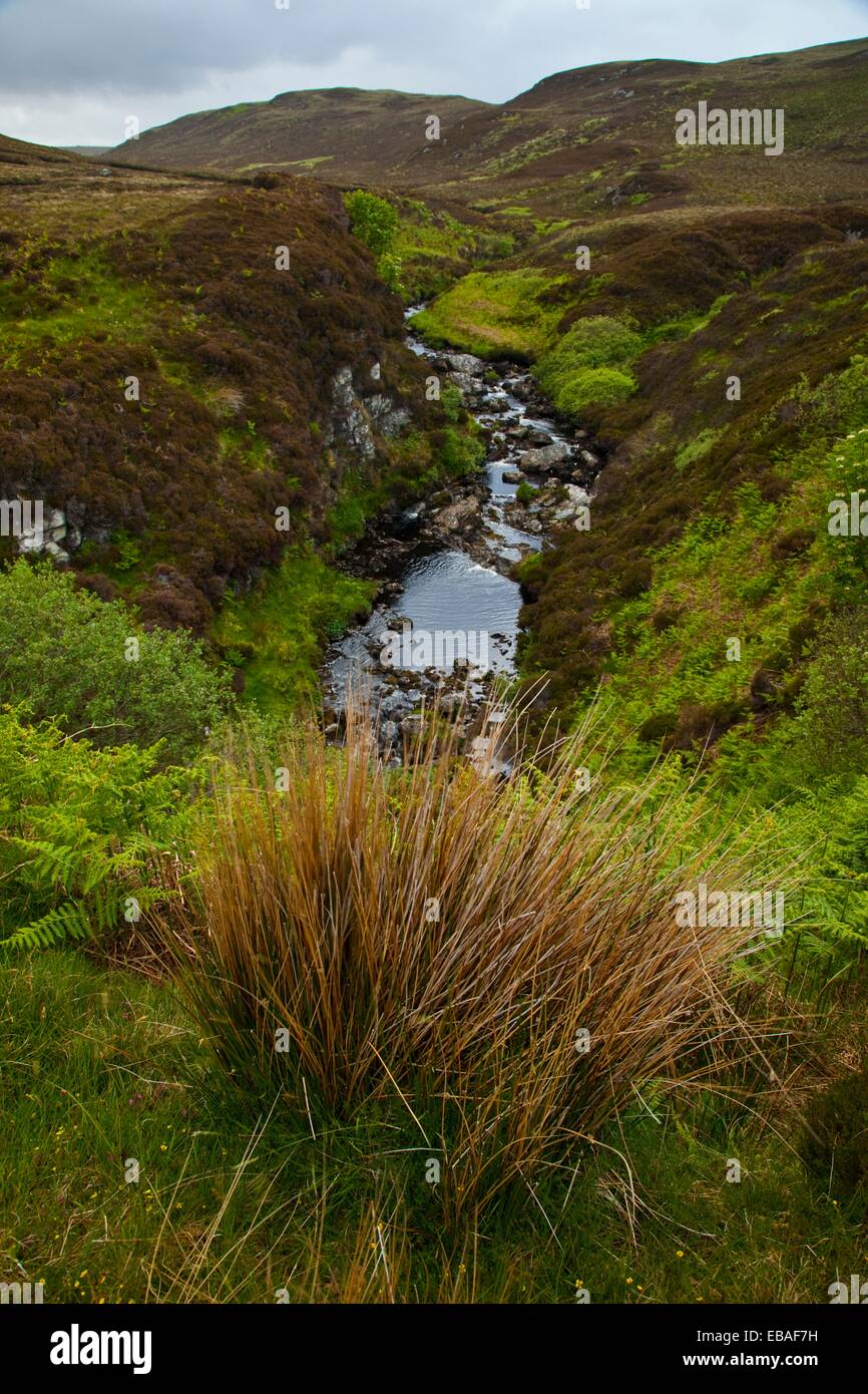 Isla River Scotland High Resolution Stock Photography and Images - Alamy