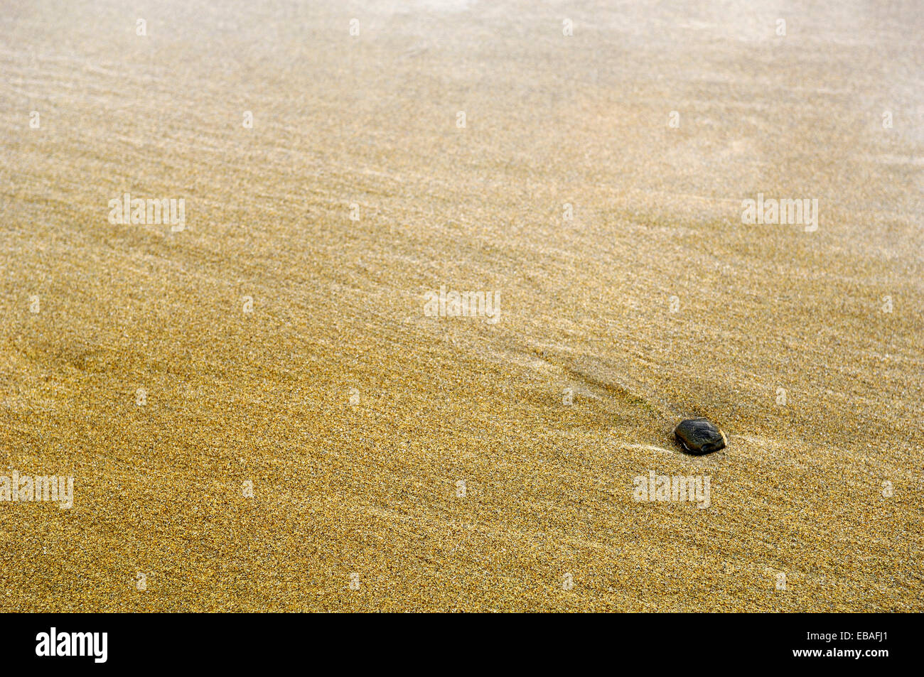 stone at the edge of the beach Stock Photo - Alamy
