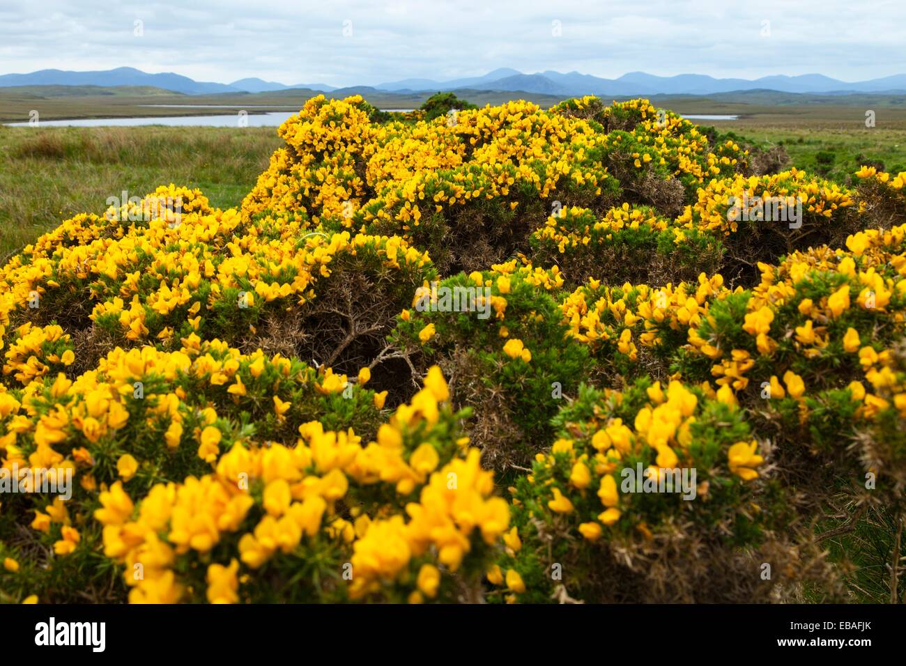 Achmore lewis hi-res stock photography and images - Alamy