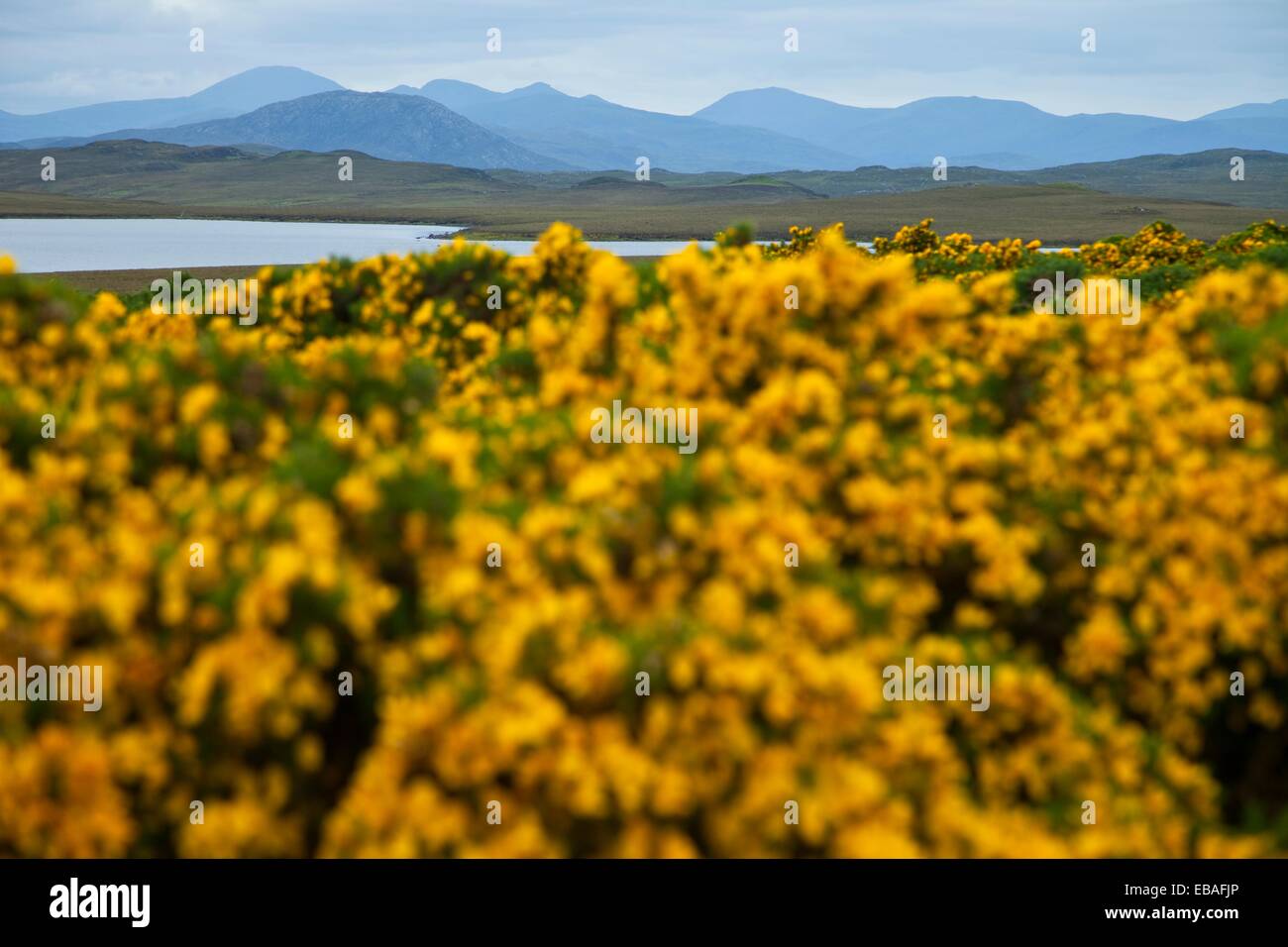 Achmore hi-res stock photography and images - Alamy