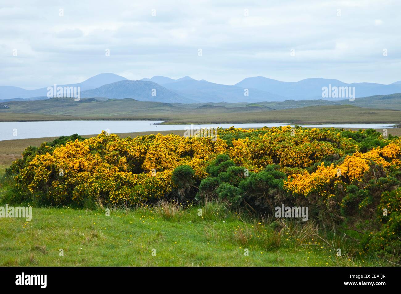 Achmore lewis hi-res stock photography and images - Alamy