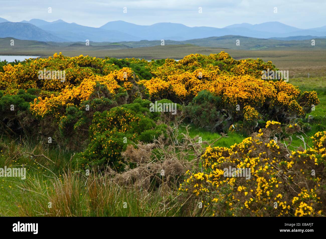 Achmore High Resolution Stock Photography and Images - Alamy